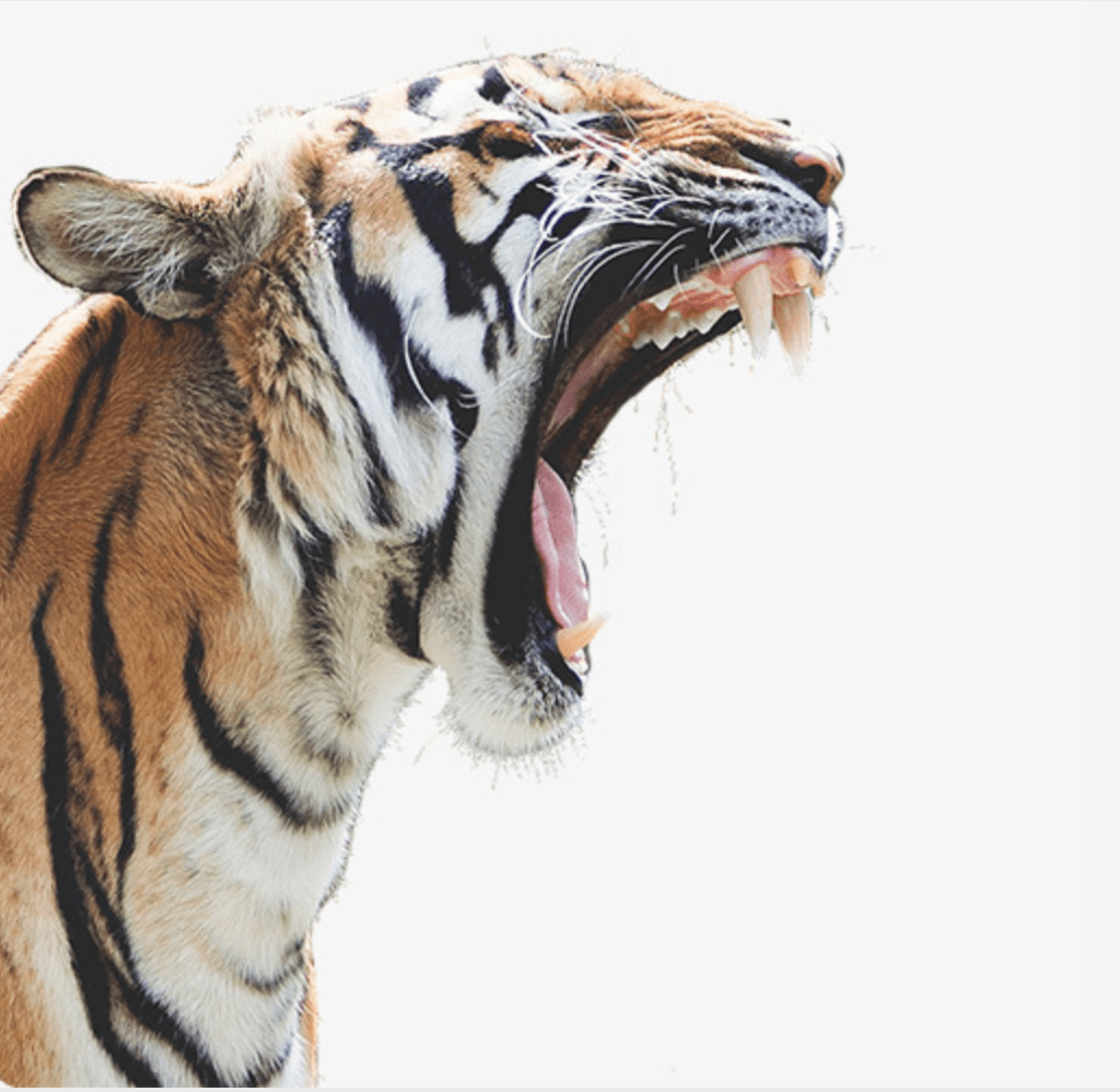 Stress and Pain – Mississauga Chiropractor and Physiotherapy Clinic ...