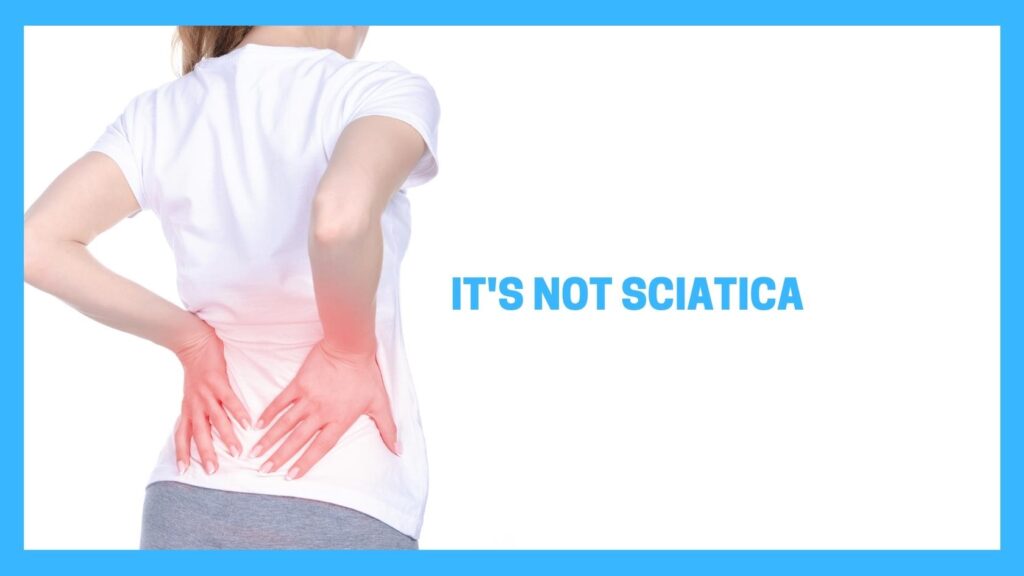 Mississauga Chiropractic And Physiotherapy Pain Clinic - Mississauga and Oakville Chiropractor ...