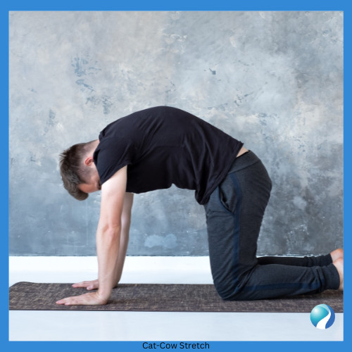 Cat-Cow Stretch - Mississauga Chiropractor and Physiotherapy Clinic ...
