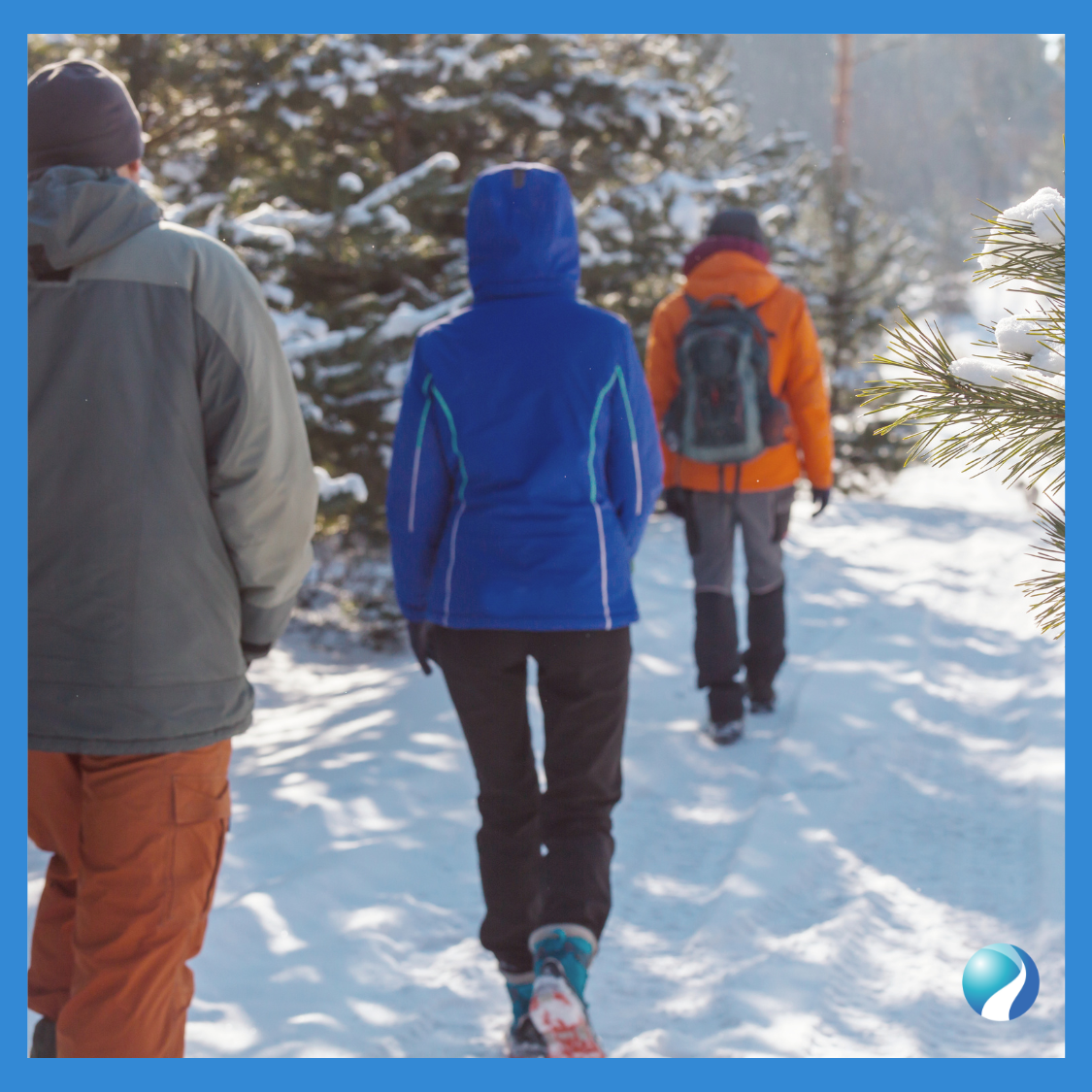 Winter Hiking: A Magical Adventure – Mississauga Chiropractor and ...